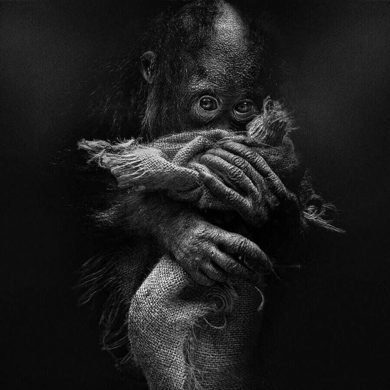 Comfort – Lee Jeffries